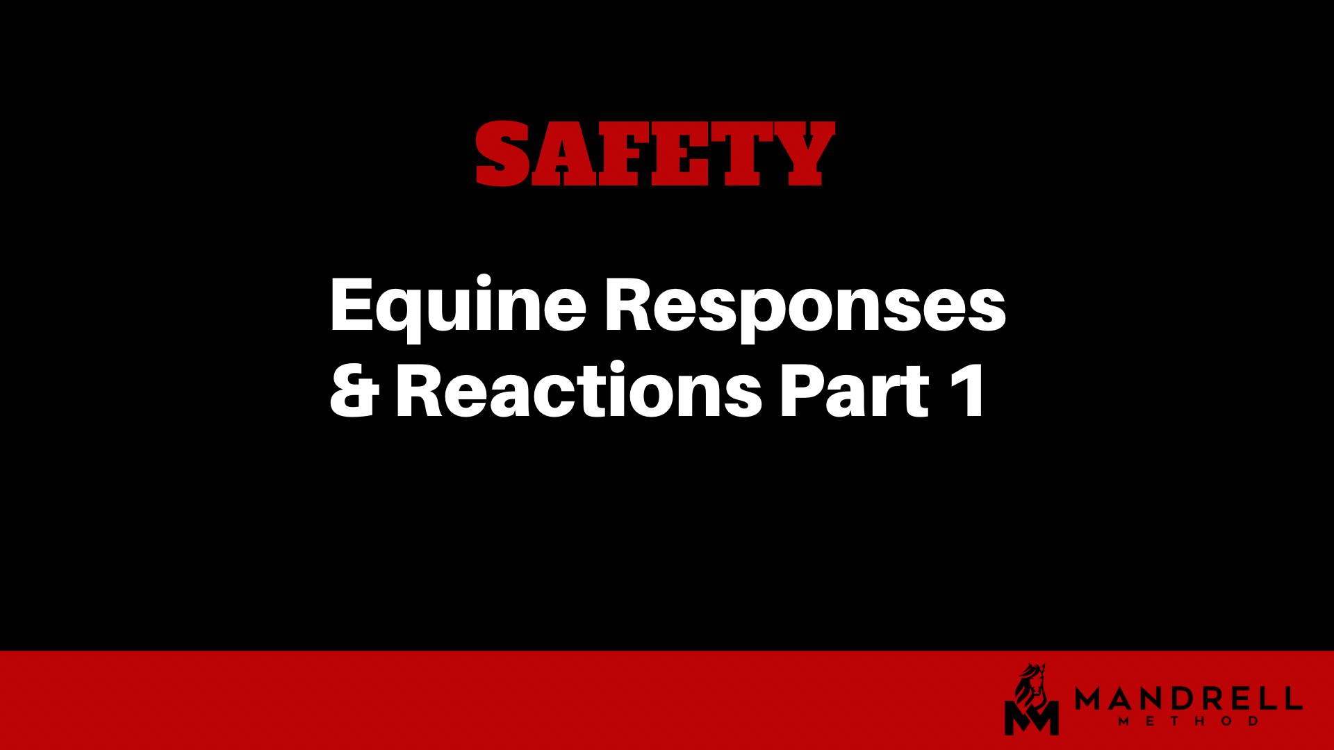 Equine Responses Part 1 – The Mandrell Method – Equine Assisted Therapy